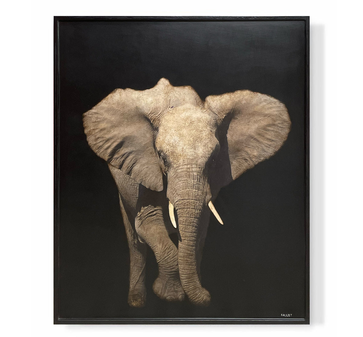 "Elephant"– Design Supply Shop
