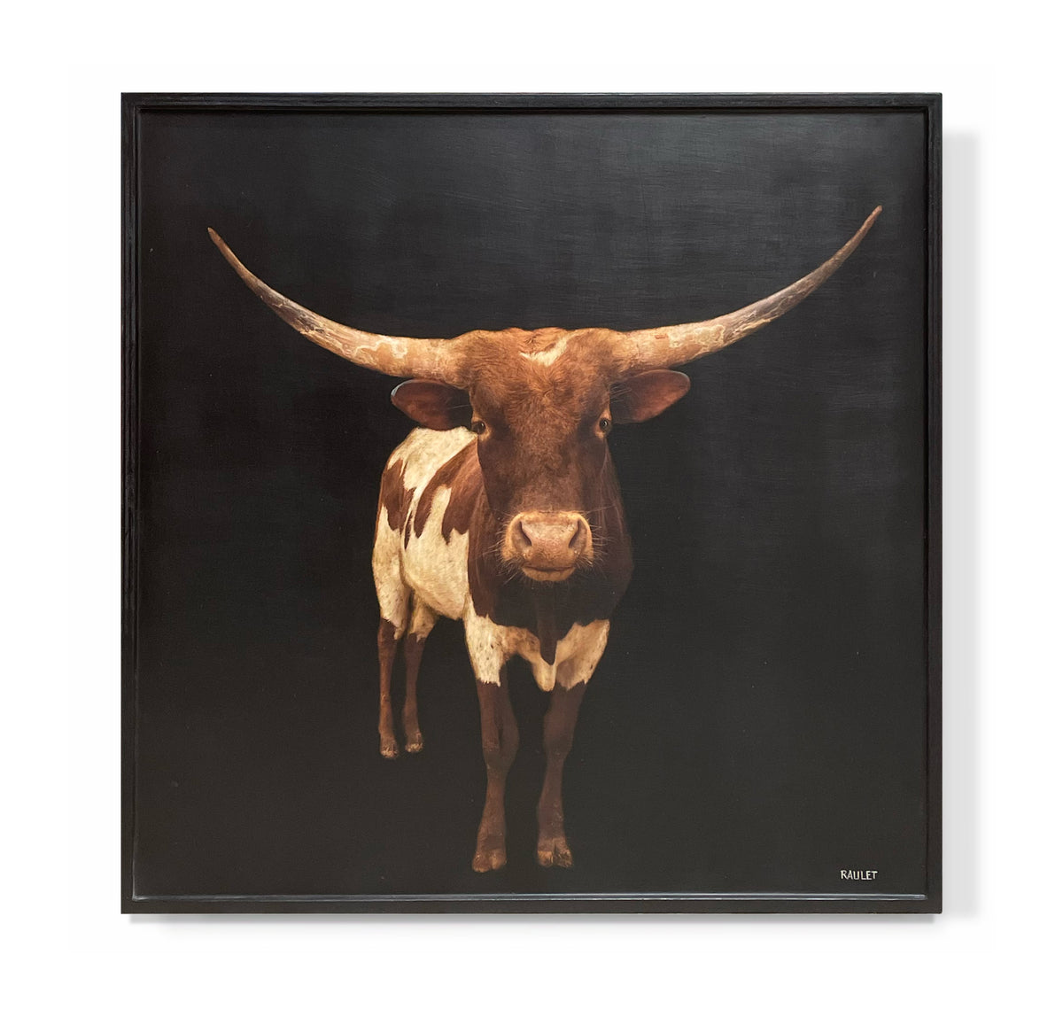 "Longhorn"– Design Supply Shop