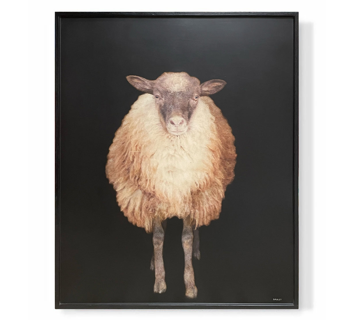 "Sheep"– Design Supply Shop