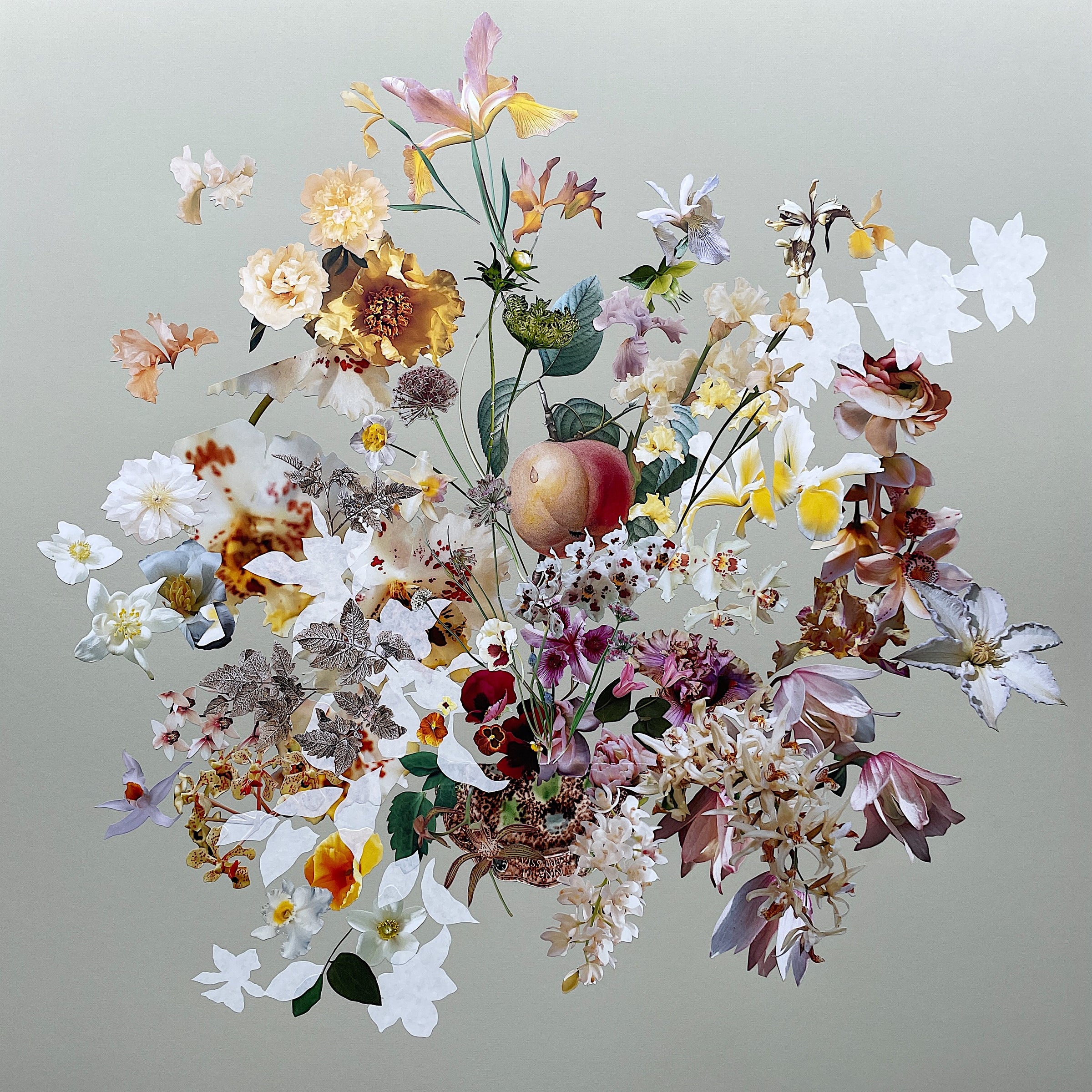 Marcy Cook Vreeland– Design Supply Shop