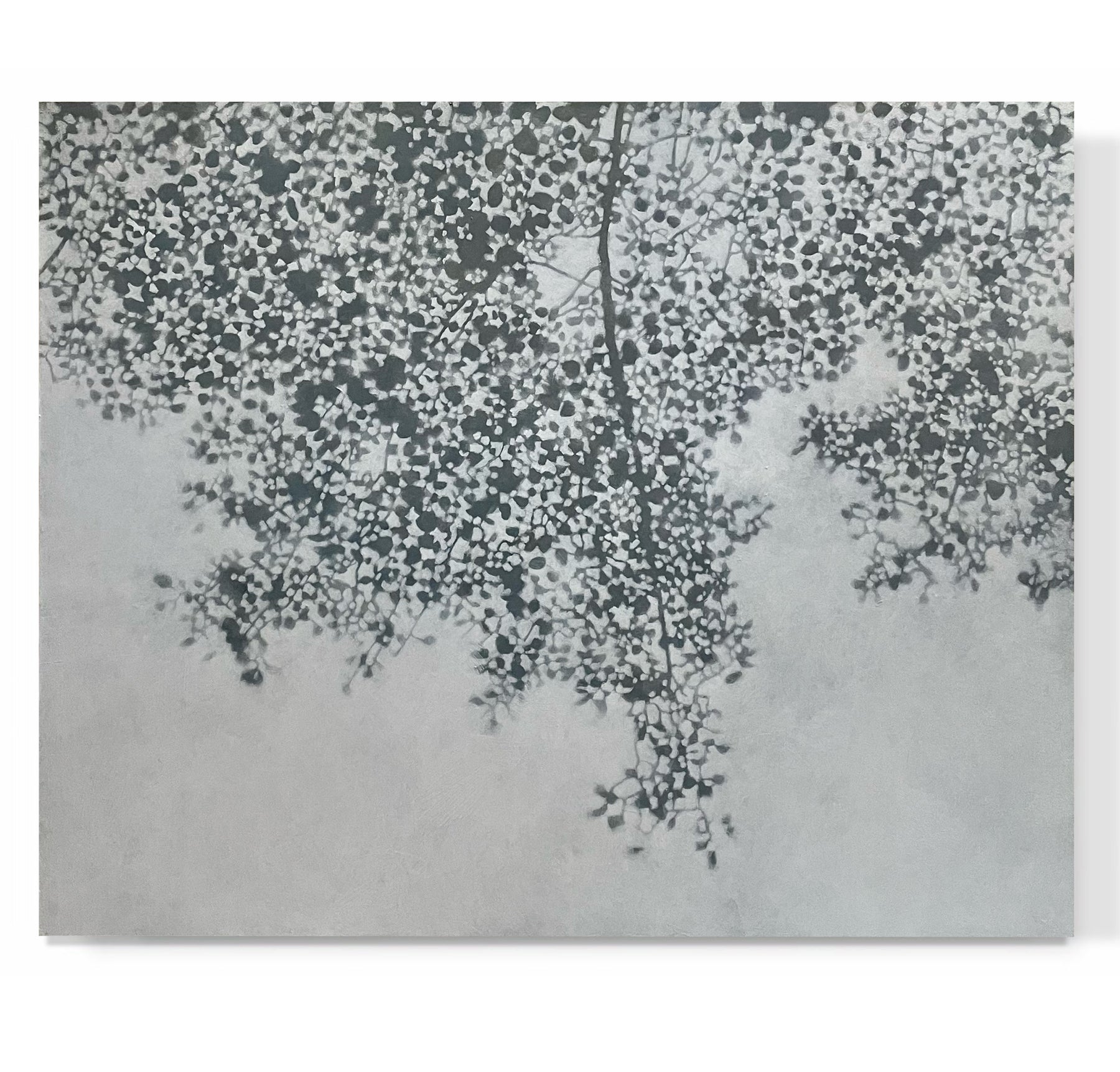 48 x 60 – Design Supply Shop