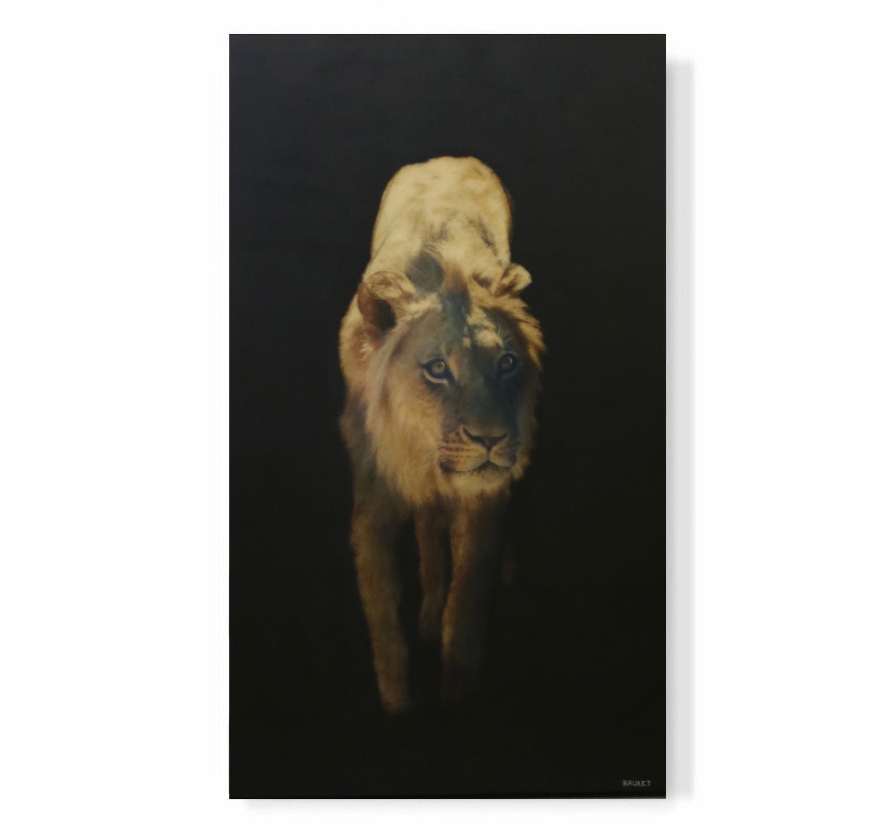 Dawne Raulet– Design Supply Shop